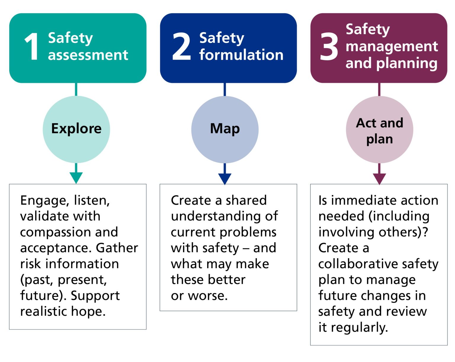 Staying safe from suicide: Best practice guidance for safety assessment ...